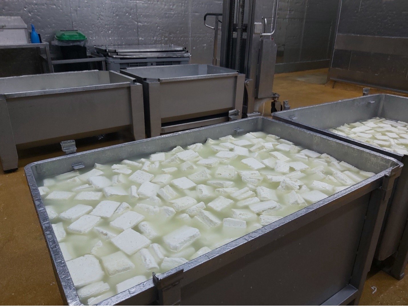Halloumi Cheese: The Taste of Cyprus Heritage and Mediterranean ...
