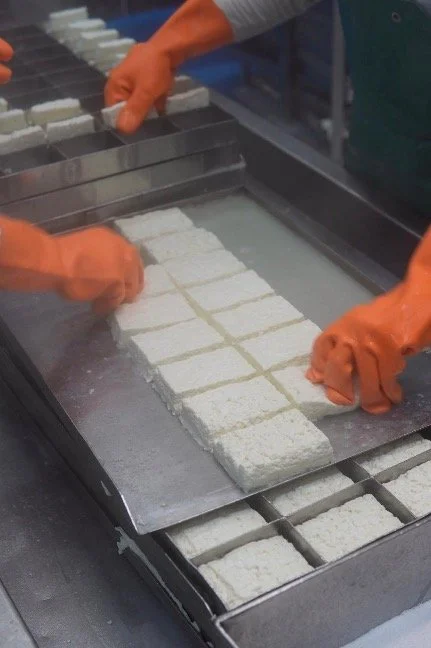 Halloumi Cheese: The Taste of Cyprus Heritage and Mediterranean ...