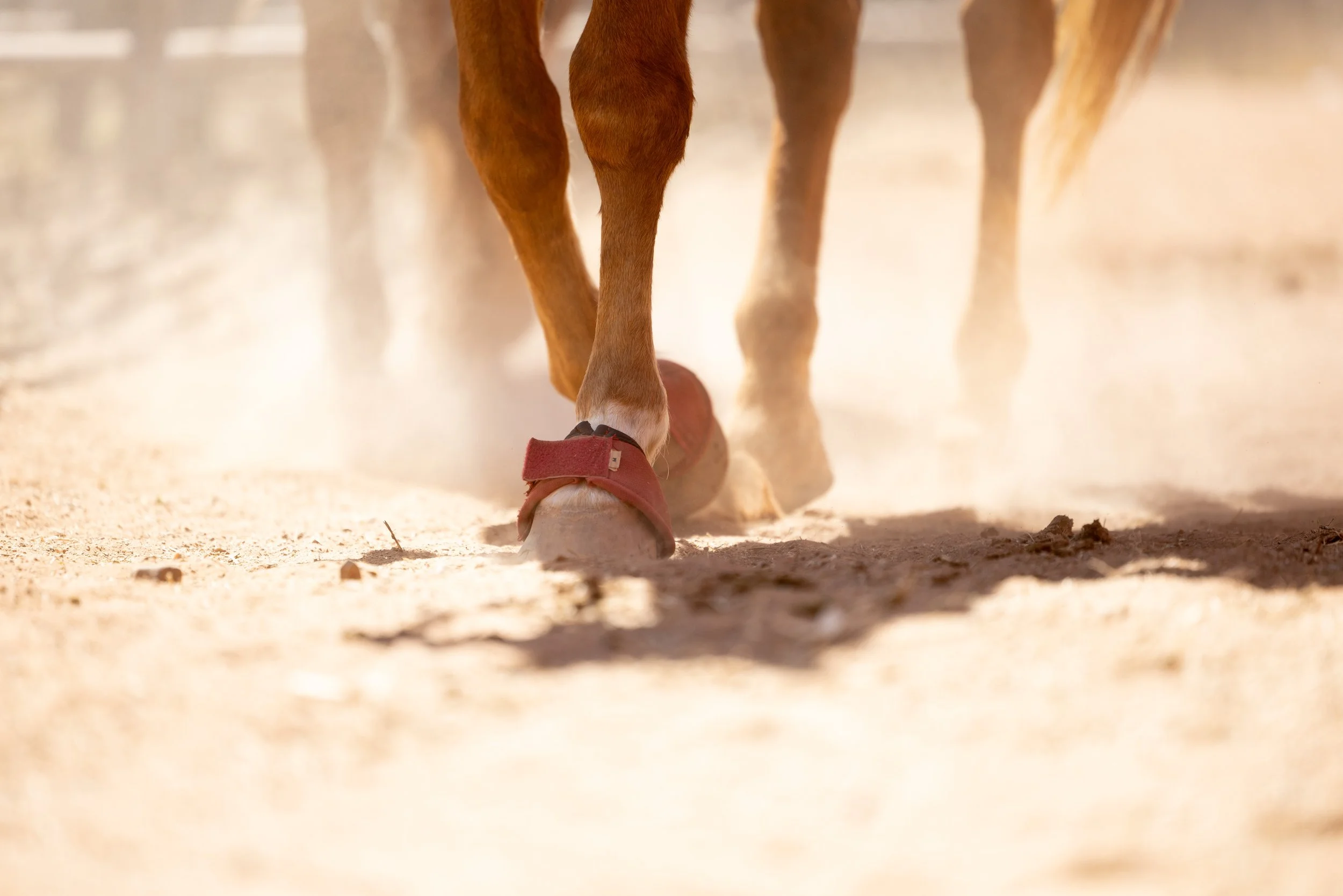 Partners | Join Our Rodeo Support Network — Mount Isa Rodeo