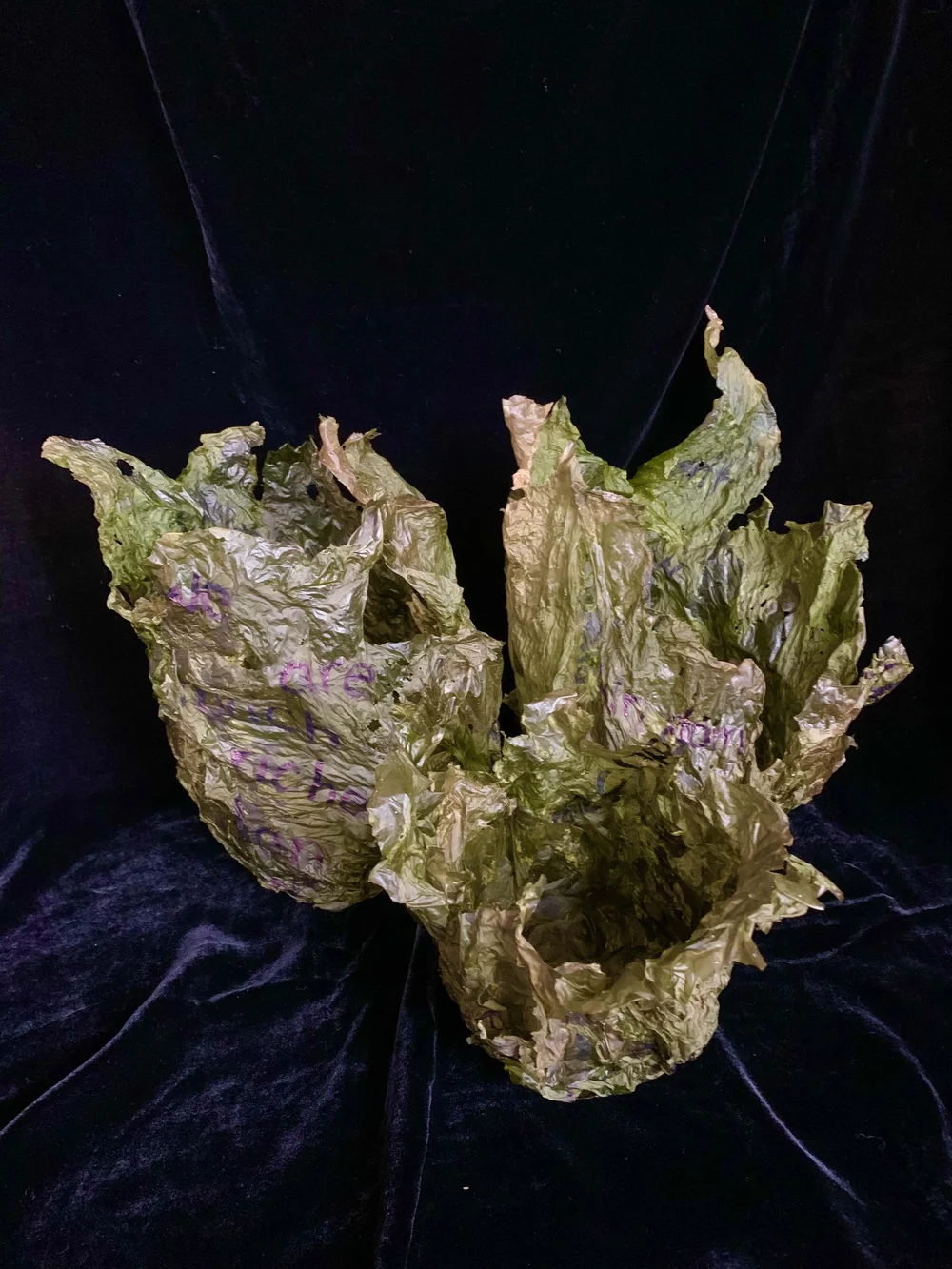 Exhibitions — Center for Creativity