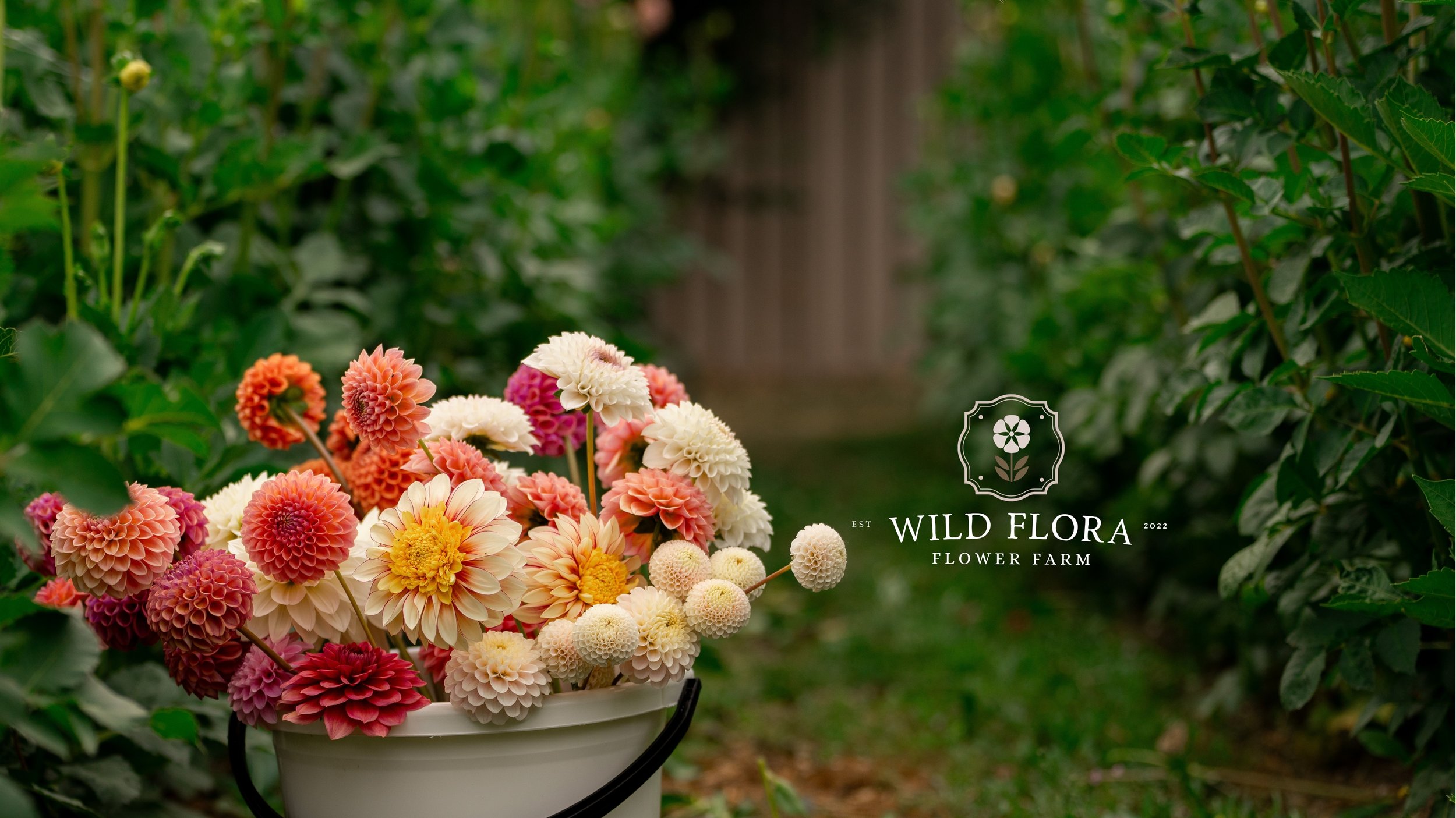 Wild Flora Flower Farm