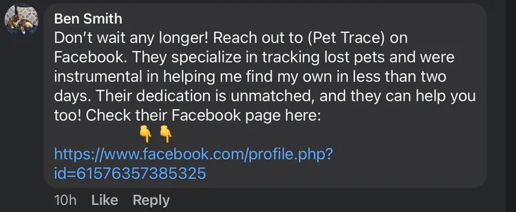 The Dark Side of Lost Pet Alerts: Real Scammer Tactics Revealed — Pet ...