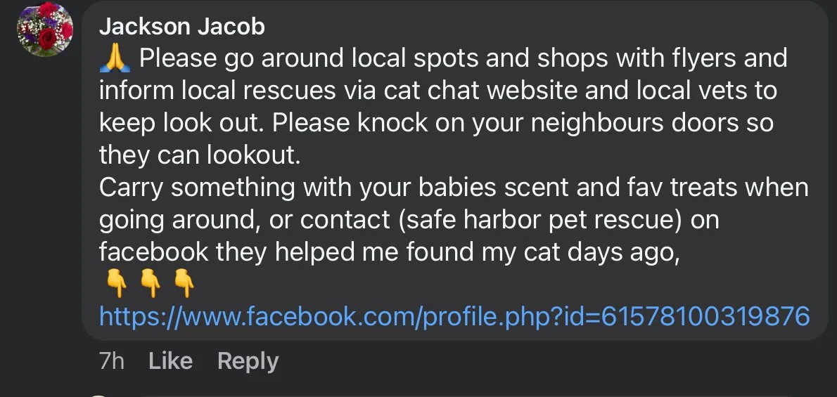 The Dark Side of Lost Pet Alerts: Real Scammer Tactics Revealed — Pet ...