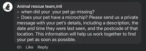 The Dark Side of Lost Pet Alerts: Real Scammer Tactics Revealed — Pet ...