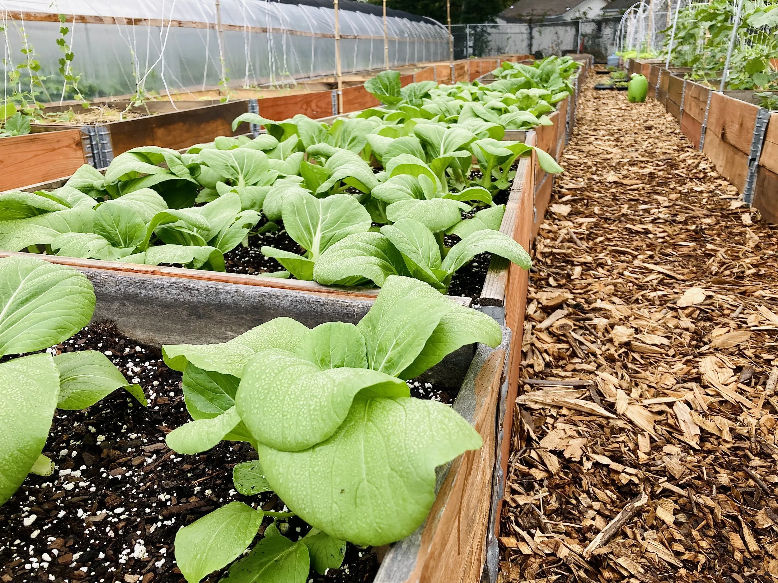 Partners & Sponsors | Partner for Food Security — Restorative Farms