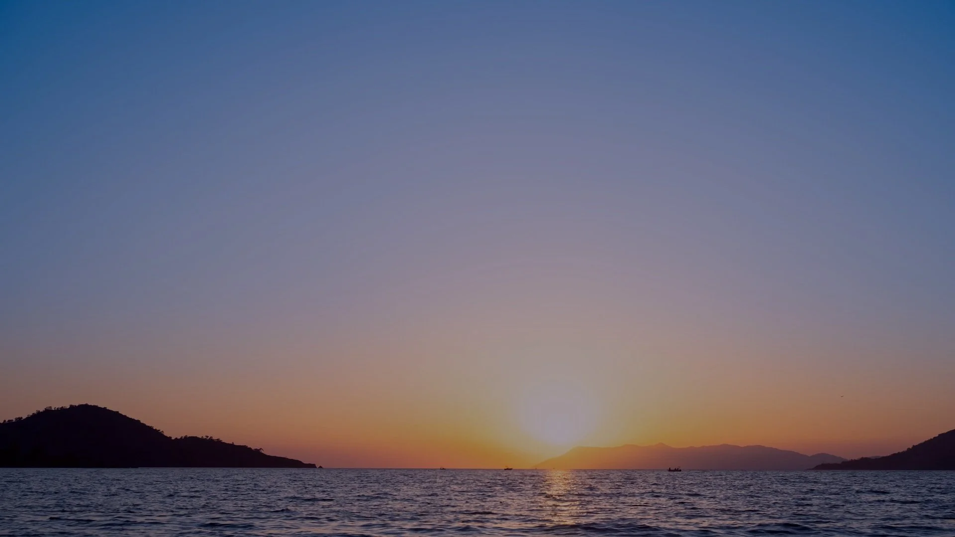 HALO Strategy | Clarity That Drives Direction — HALO Growth Partners ...
