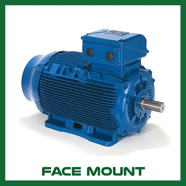 Face Mount Electric Motors | NEMA C-Face & D-Flange Industrial Motors ...