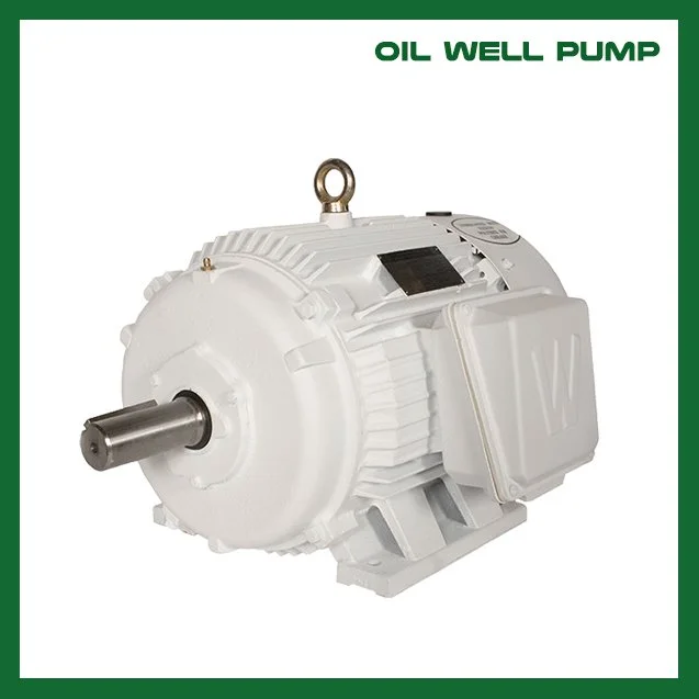 Oil Well Pump Worldwide Electric | Discover Reliable Pump Solutions ...