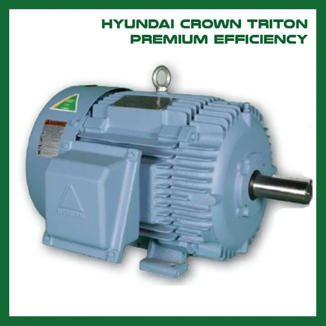 Hyundai Crown Triton Premium Efficiency Worldwide Electric | Optimize ...