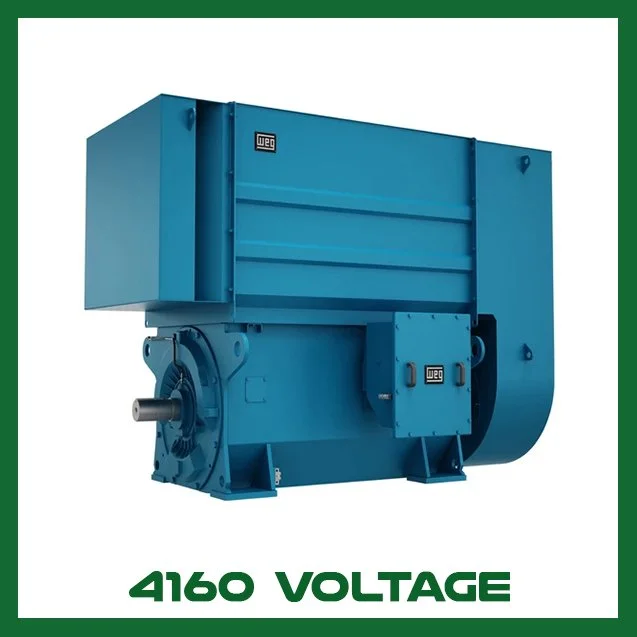 4160 Volt Electric Motors | Medium Voltage 4.16 kV Industrial Motors ...
