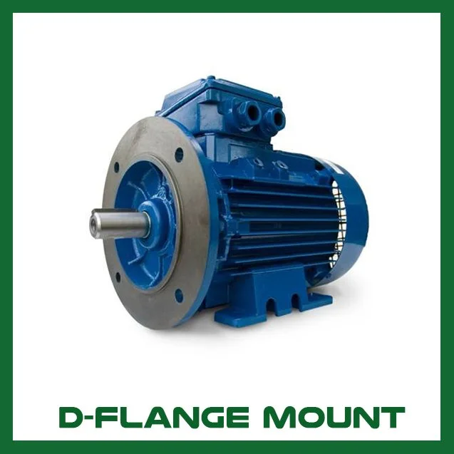 D-Flange Mount Electric Motors | NEMA D-Flange (B5) Industrial Motors for Pumps & Gear Drives ...