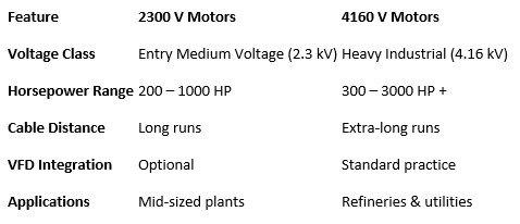 4160 Volt Electric Motors | Medium Voltage 4.16 kV Industrial Motors ...