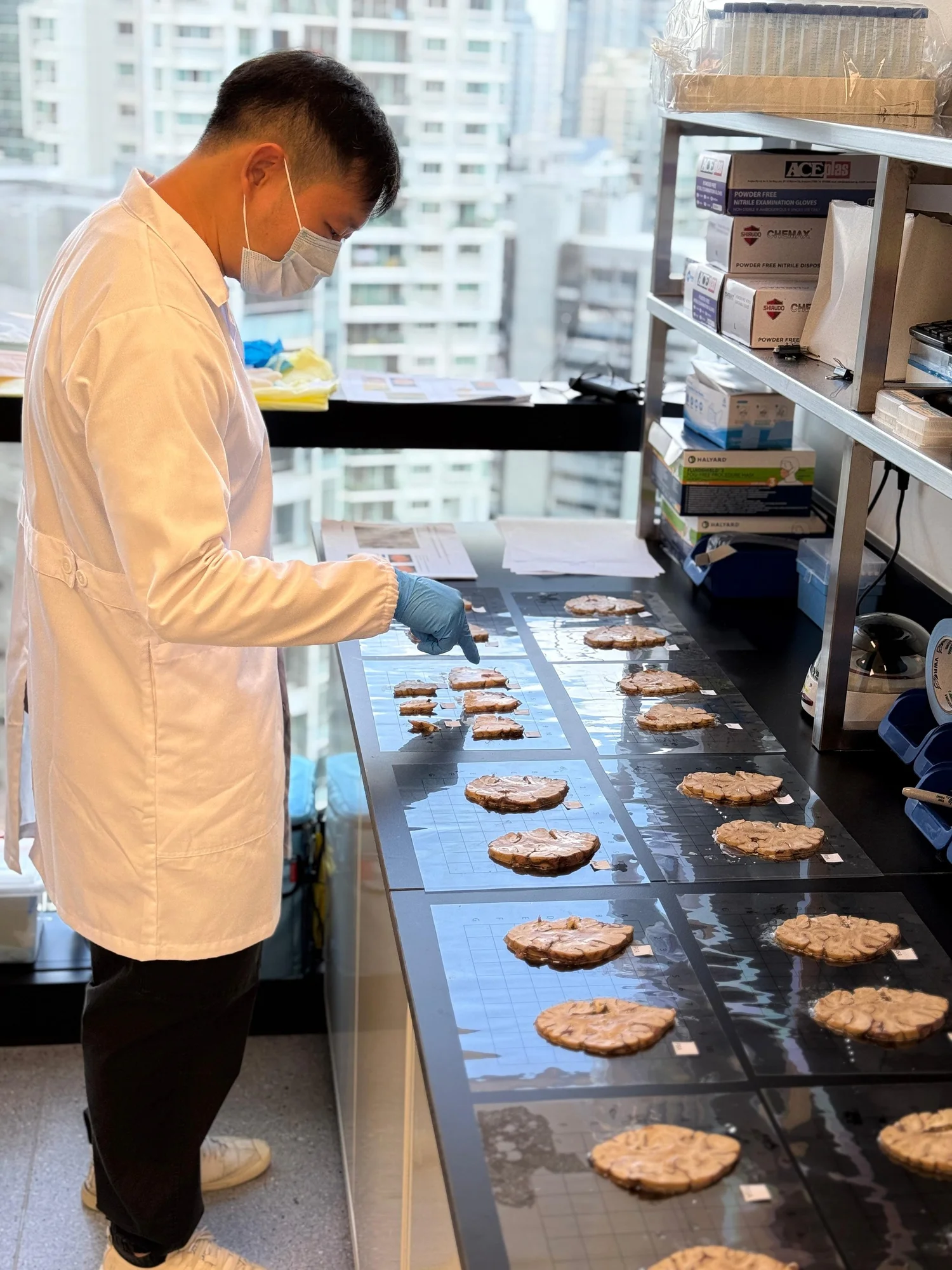 aboutus — Brain Bank Singapore
