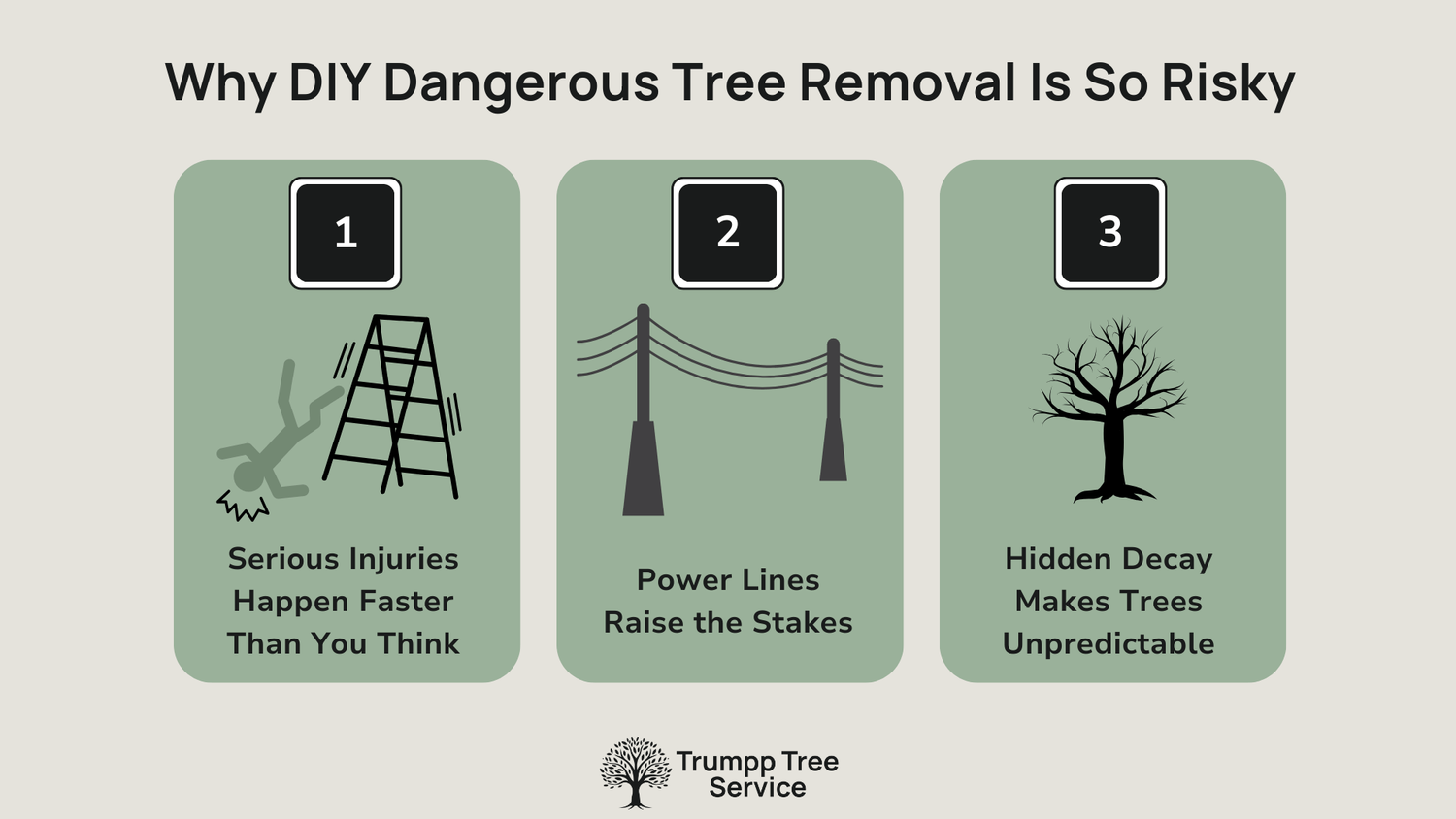 Why You Shouldn’t Handle a Dangerous Tree Removal on Your Own — Trust ...