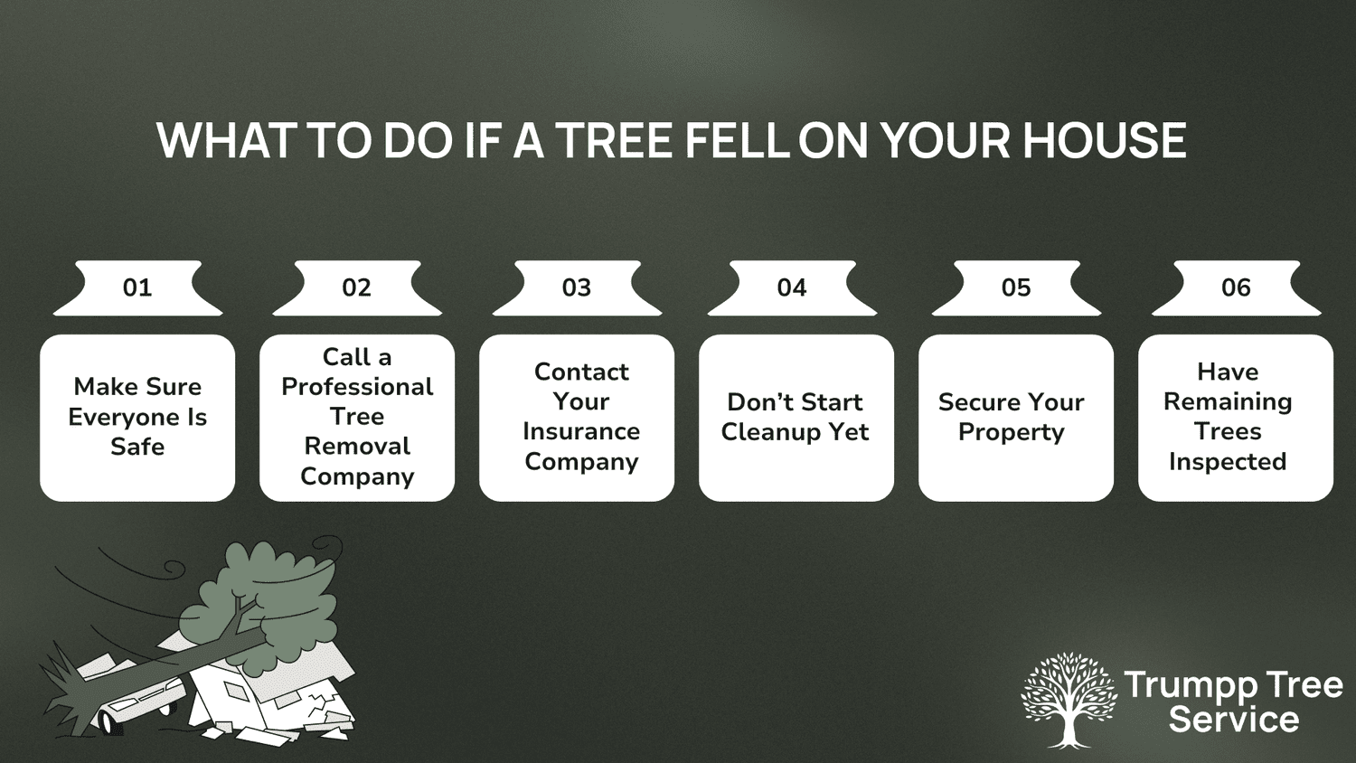 A Tree Fell on Your House? Here’s Your Next Steps — Trust Nick The Tree ...