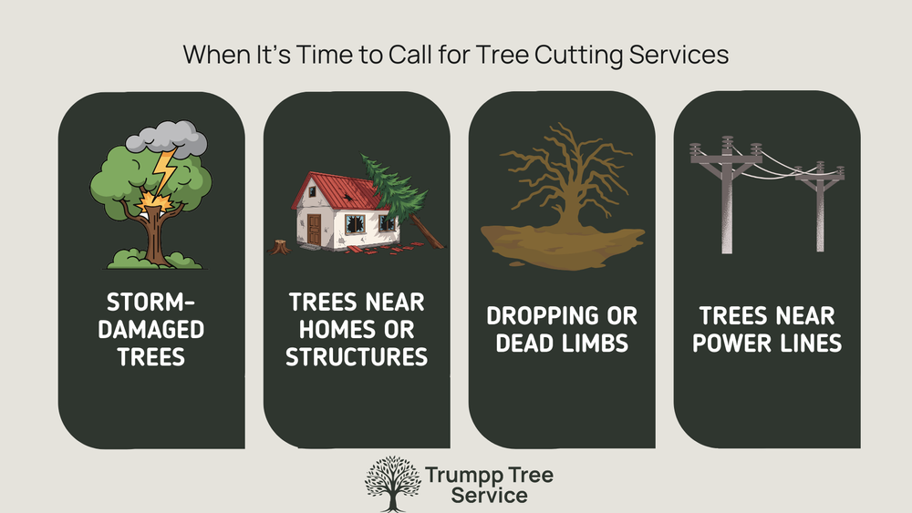 How To Find Tree Cutting Services You Can Count On — Trust Nick The ...