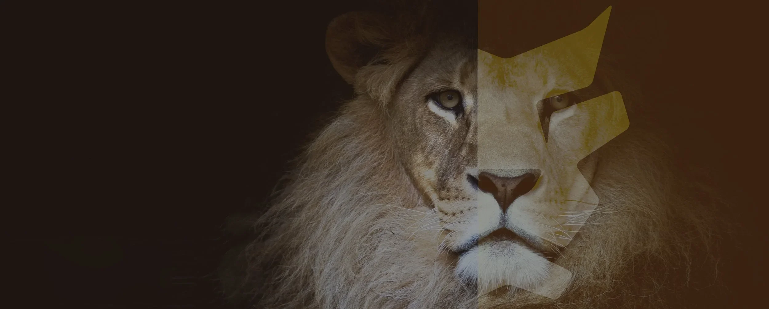 LeoSight | Unified Command Platform for Public Safety