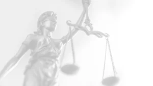 Leslie Barrows for 231st District Family Court