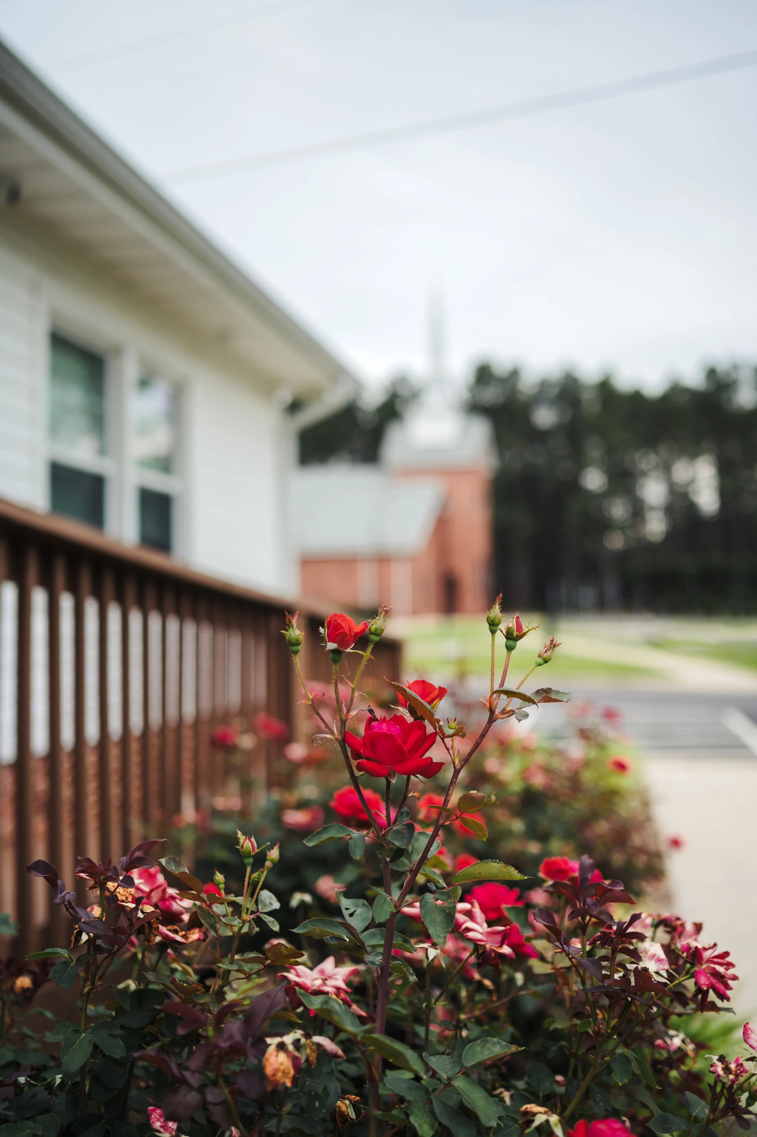 Connect Groups — MOUNT ZION GLOBAL METHODIST CHURCH | Garner, North ...