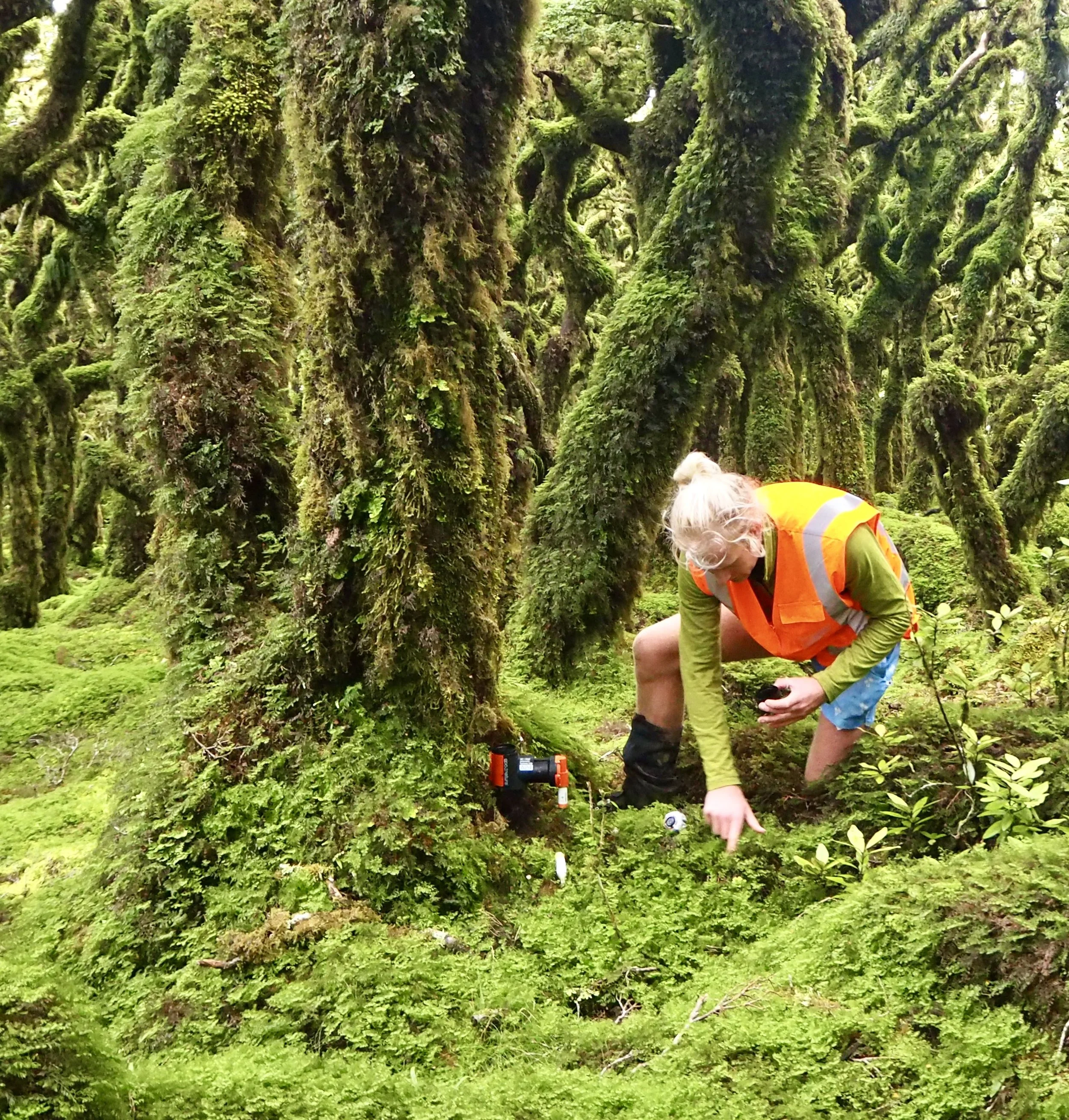 Alex Baker for Mayor of Wellington | Vote for a more affordable city