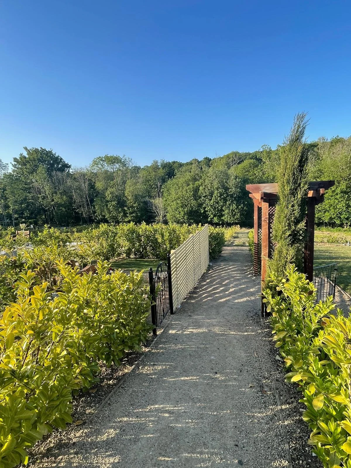 Muslim Cemetery in Kent | Bluebell Muslim Burials