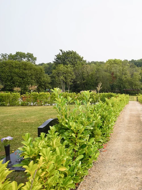 Muslim Cemetery in Kent | Bluebell Muslim Burials