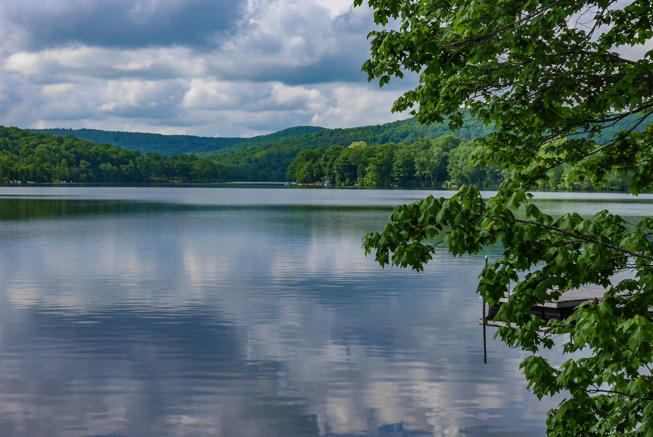 Lake Waramaug Conservancy