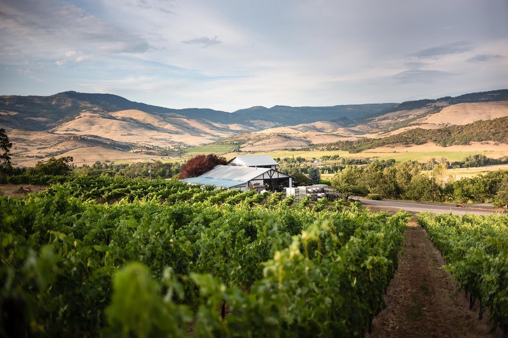 Gallery — Weisinger Family Winery