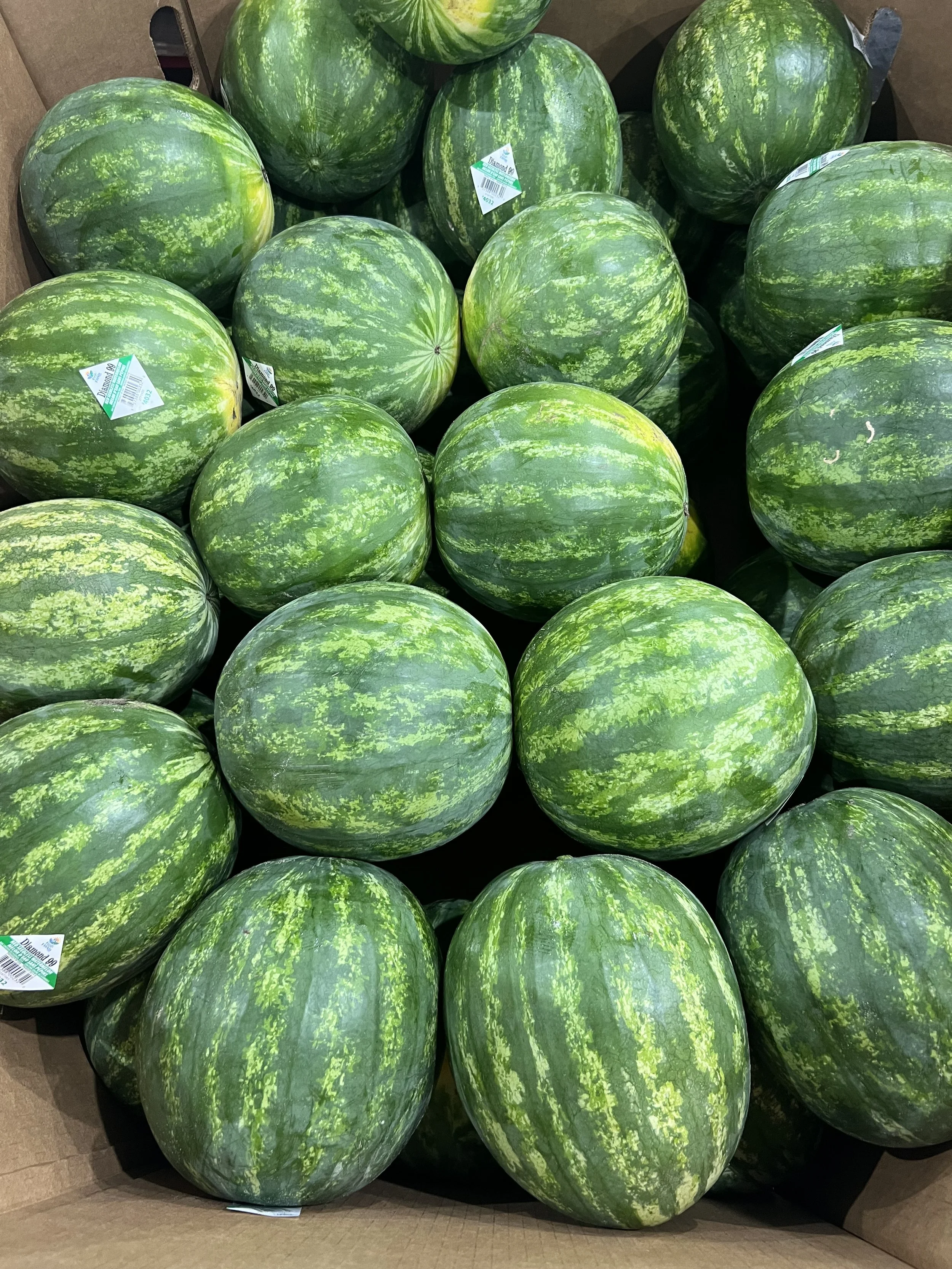 Home-Diamond 99 Watermelon Sales Discover Fresh Watermelons Today