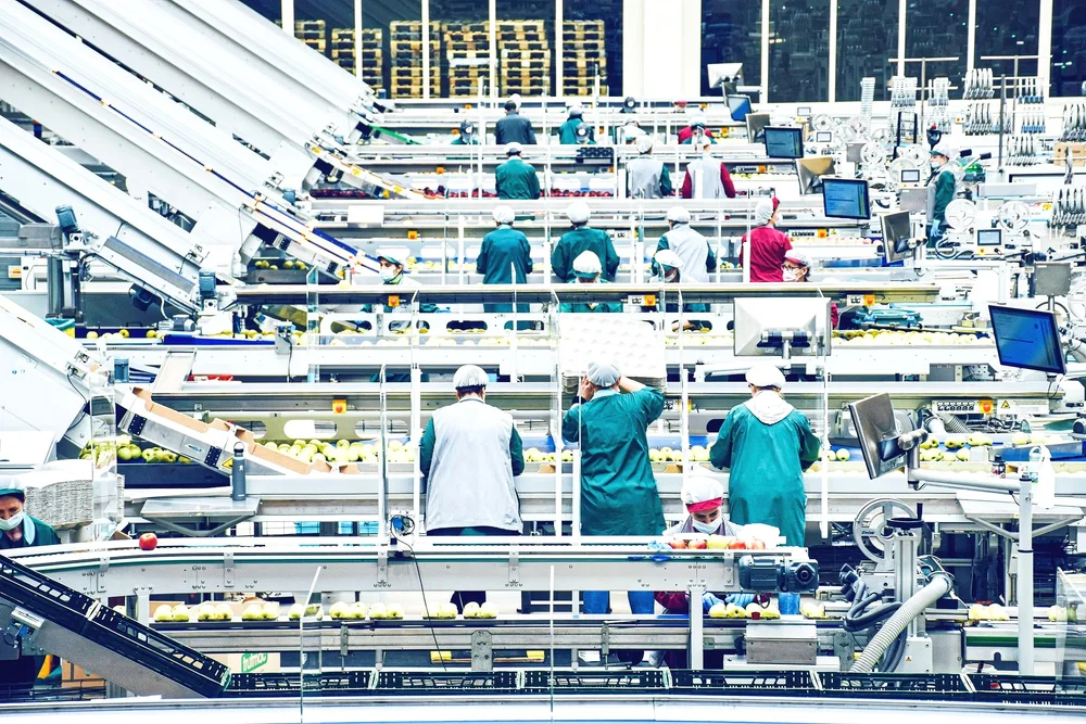 Zest | Eradicate supply chain food waste