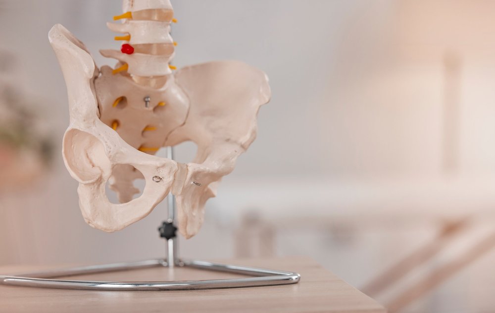 Pelvic Health and Total Wellness | Empower Your Wellness Today