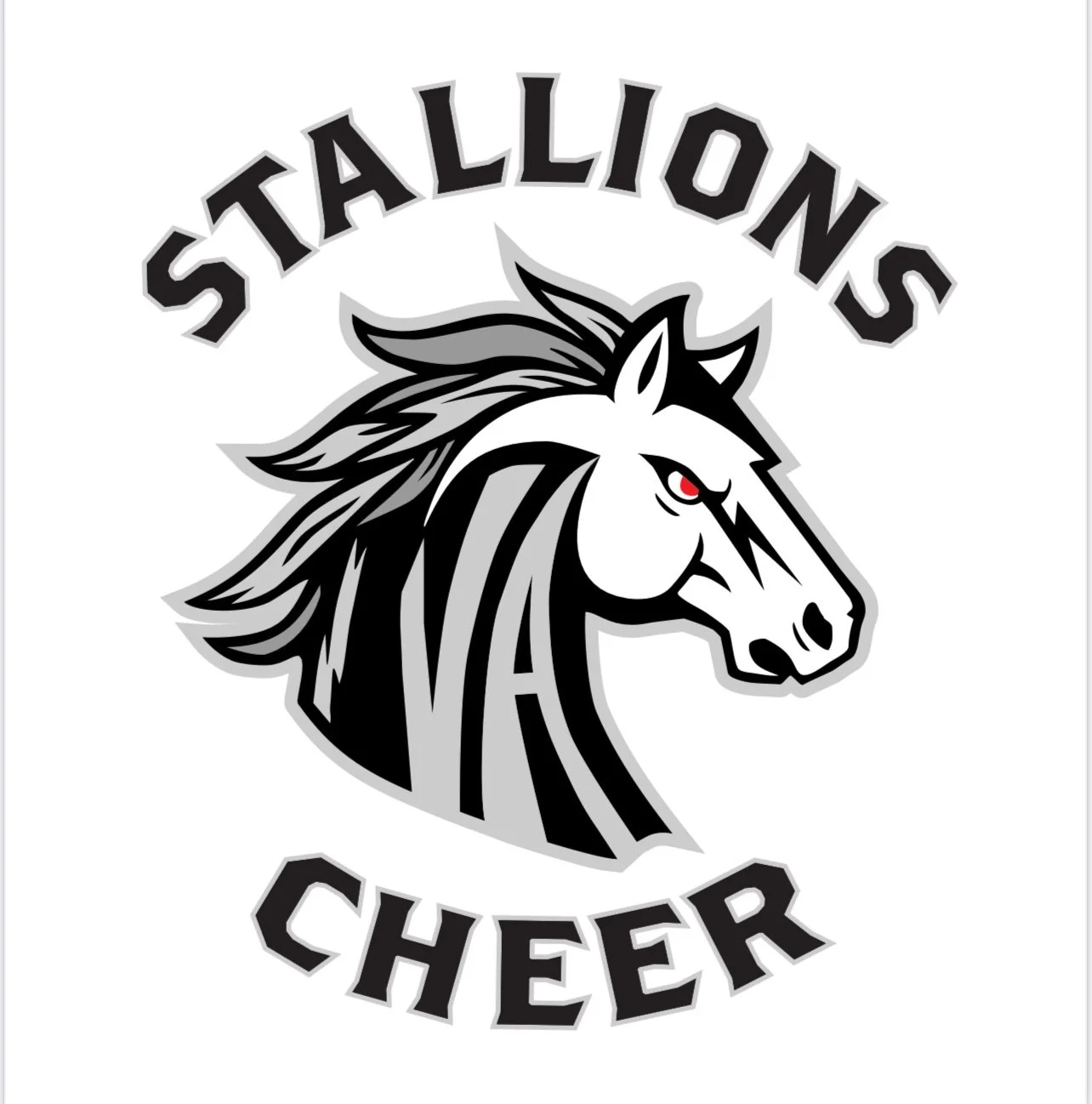 VA STALLIONS FOOTBALL AND CHEER!!