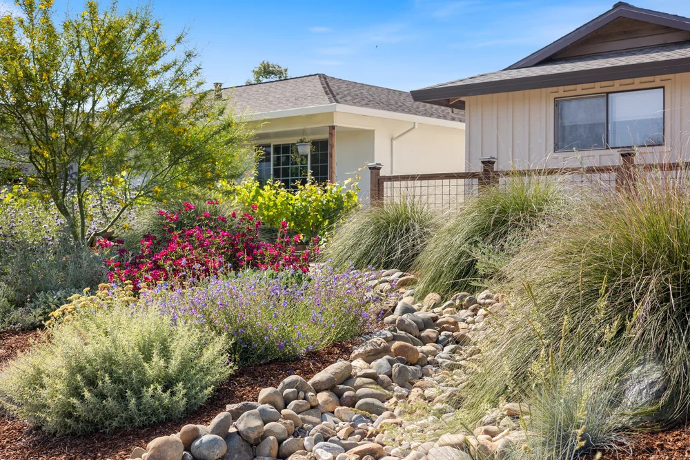 Monarch Native Landscapes | Transform Your Landscape Today