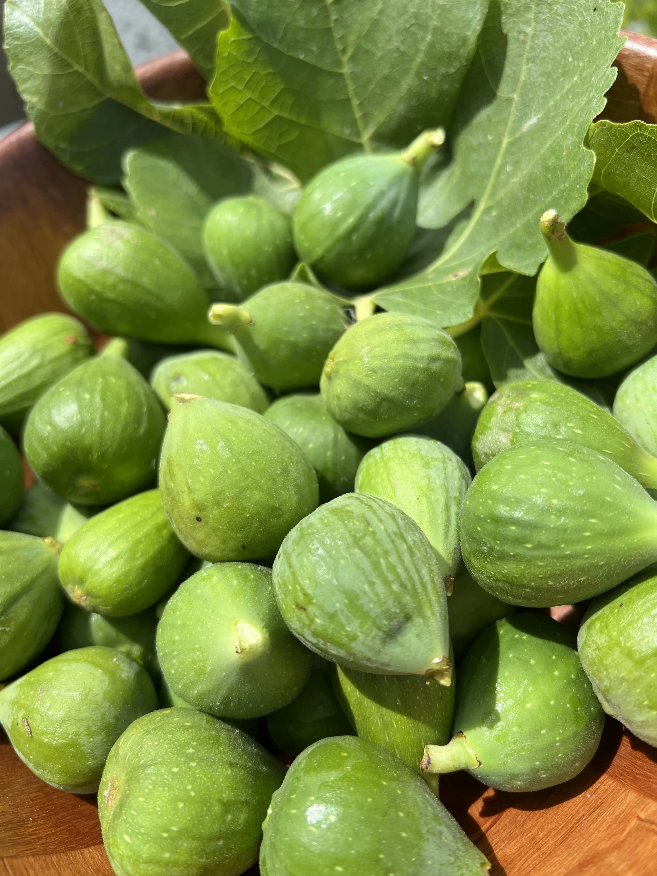 Greek spoon sweet with caramel figs ‘Sika’ | Nikos Garden
