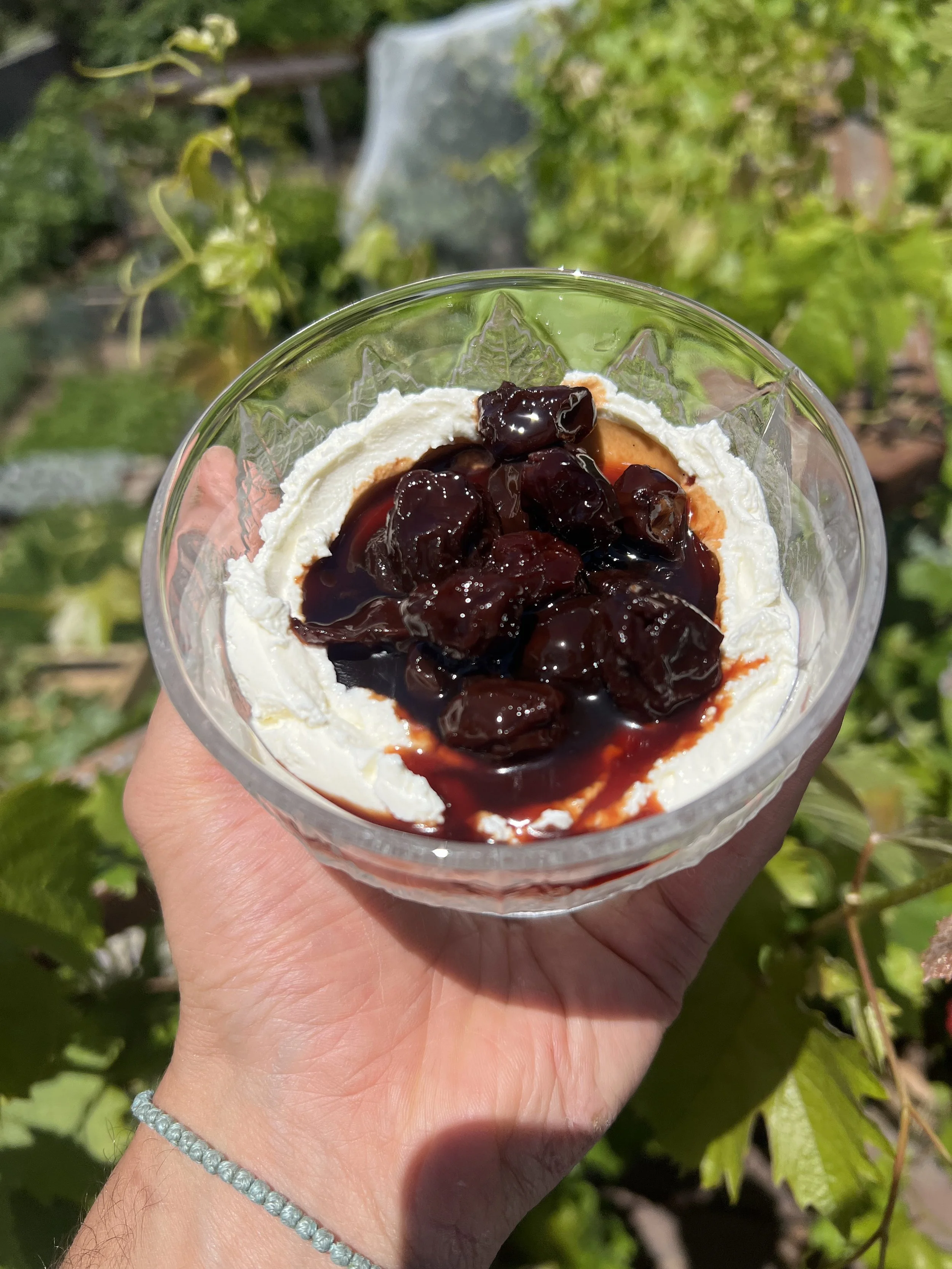 Recipes | Nikos Garden