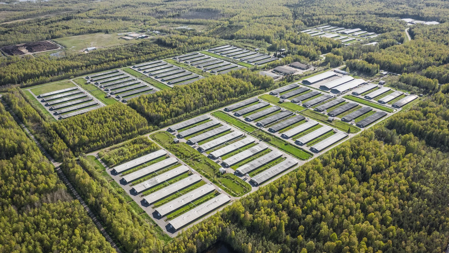Campaigns — Communities Against Factory Farming