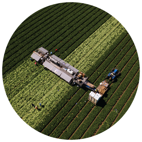 Sustainability-Planet | Embrace Sustainable Farming Today — Church ...