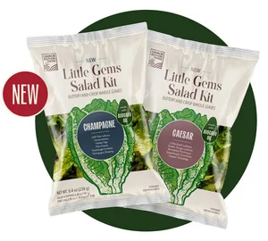 Little Gems Salad Kits | Shop Fresh, Healthy Salads Today — Church ...
