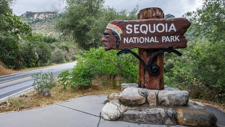 Sequoia National Park – Những Gã Khổng Lồ Bất Tử — Bang Vo Travel Service