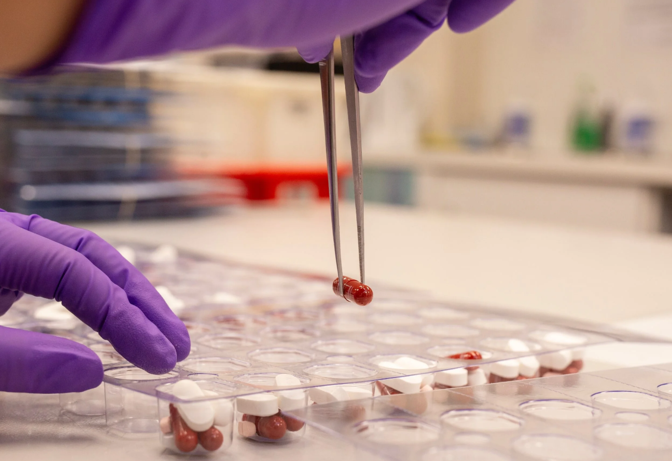 Dose Administration Aids DAA - Medication Packing - Northpharm ...