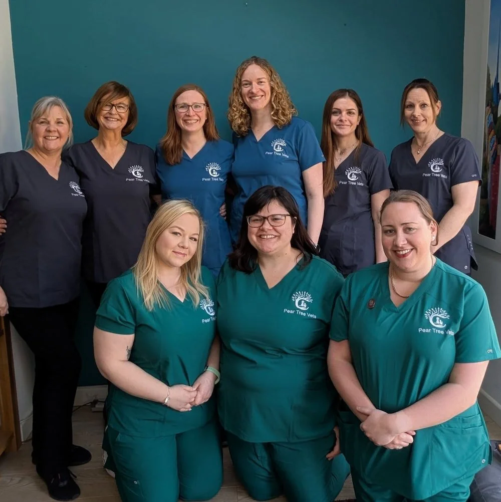 Pear Tree Vets | Proudly Independent Vets | Leamington Spa
