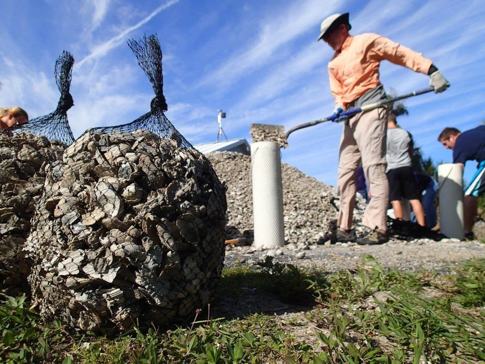 Oyster Shell Bags | How Recycled Shells Help Our Water — Tampa Bay Watch