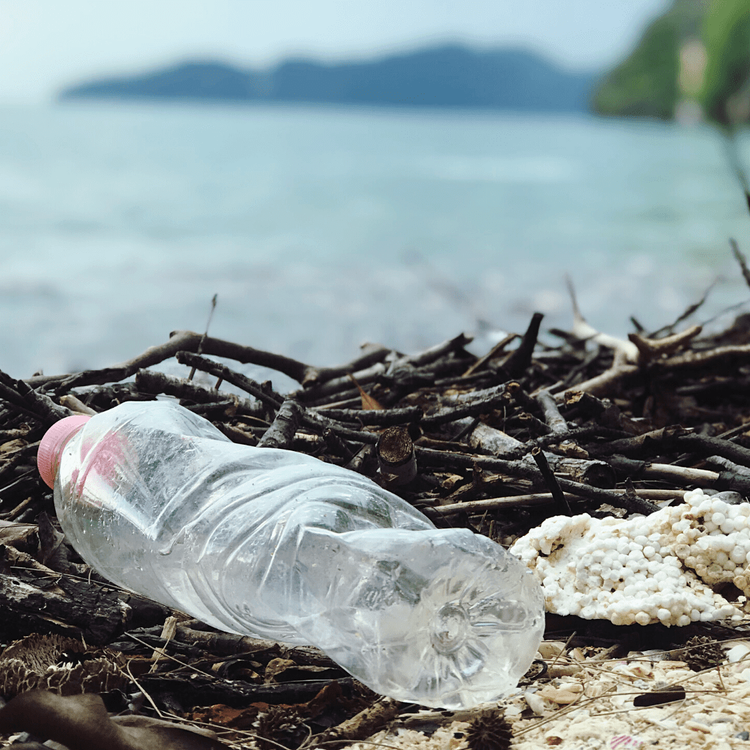 Coastal Cleanups | Join a Coastal Cleanup Today — Tampa Bay Watch