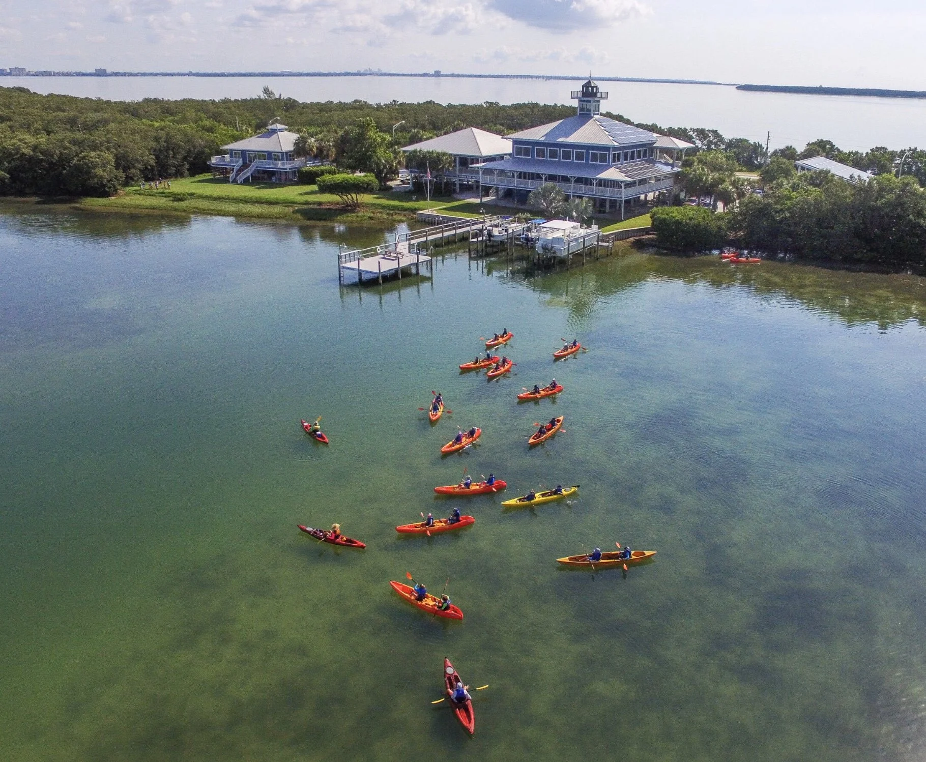 Tampa Bay Watch | Restore the Bay Every Day