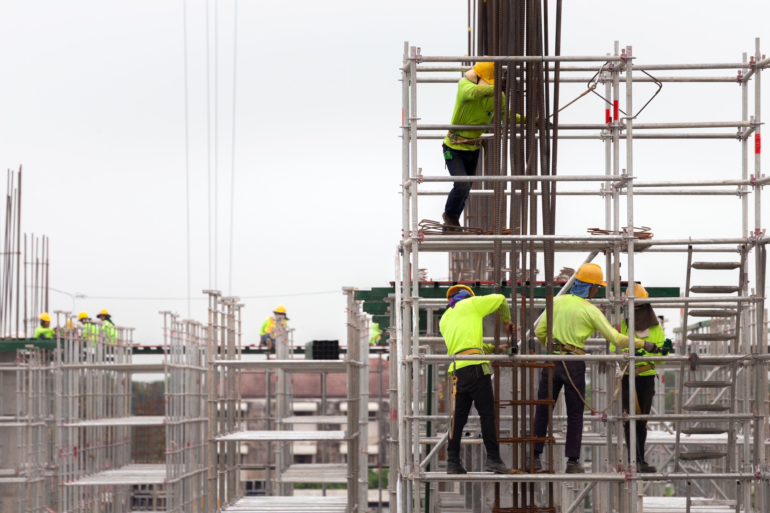 Supply SA | Empower Local Businesses Today