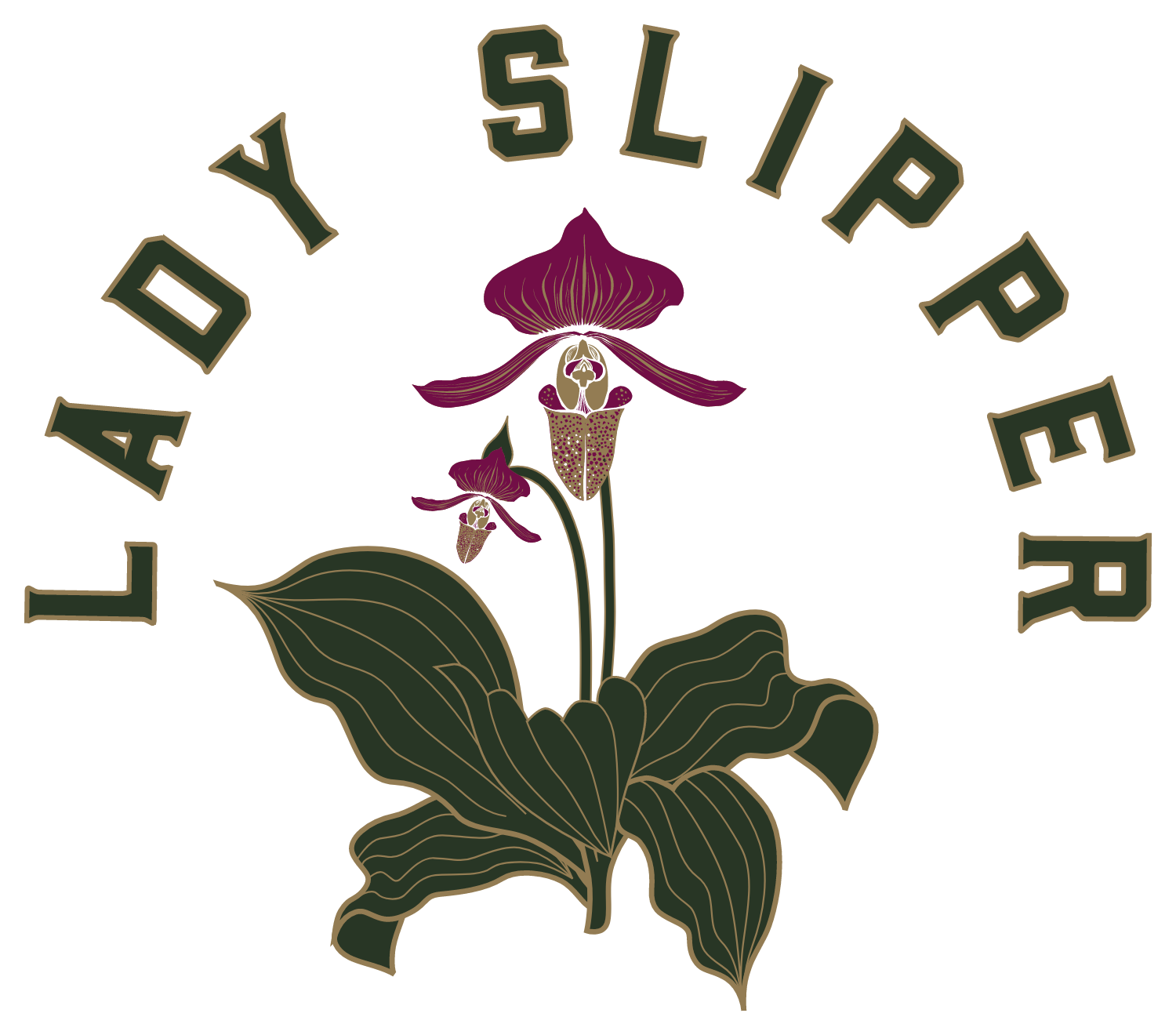 Lady Slipper