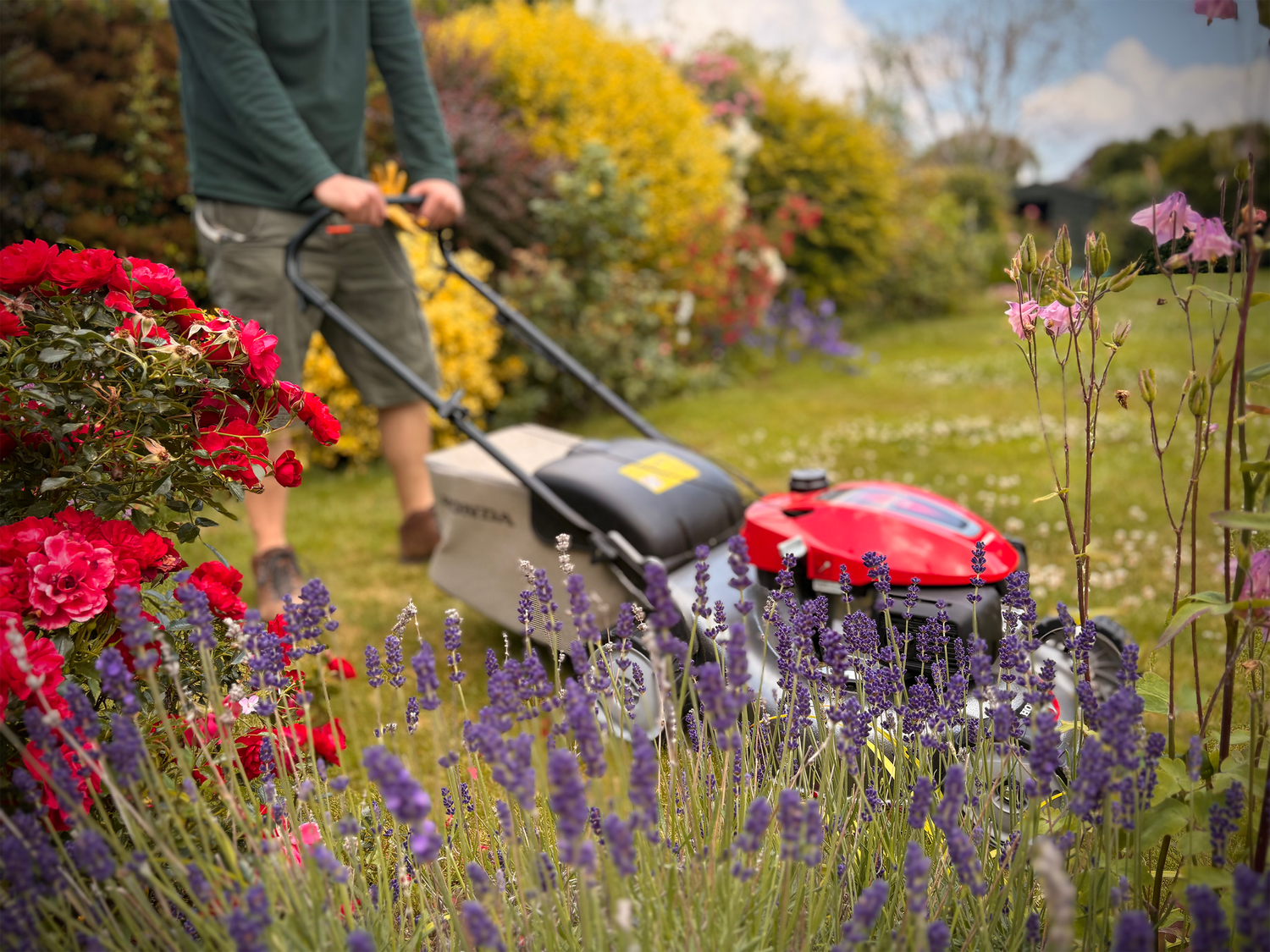 Greendale Garden Care