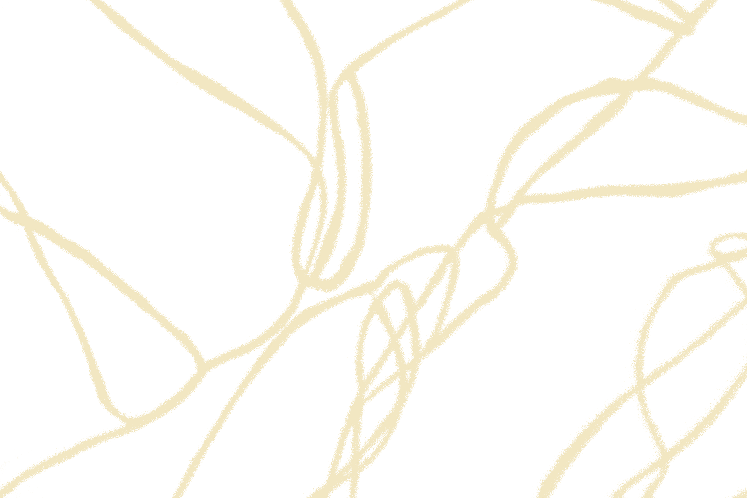 Our Programs — 44th and 3rd Foundation