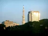 The Mosque of Sheikh Ibrahim Al-Ibrahim in Caracas, Venezuela — Mosques ...