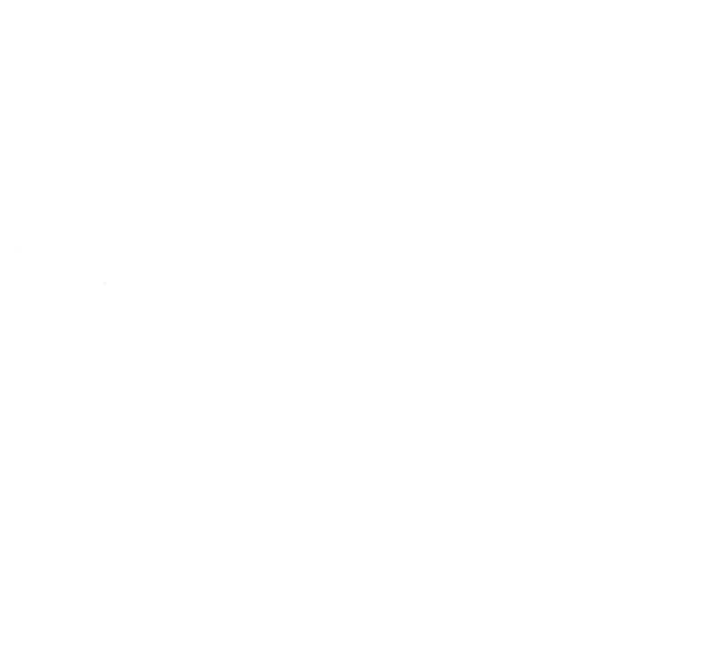 Our Belts "Cords" System — Capoeira Brampton